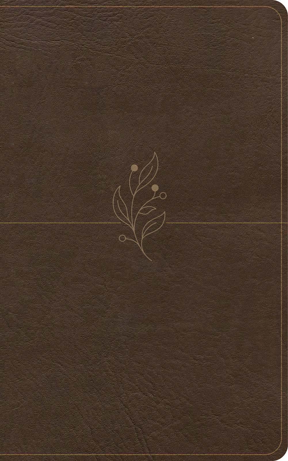 CSB Single-Column Personal Size Bible, Digital Study Edition, Brown ...