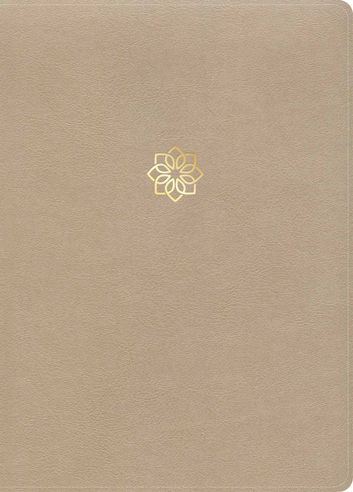 CSB Study Bible, Large Print, Digital Study Edition, Gold LeatherTouch ...